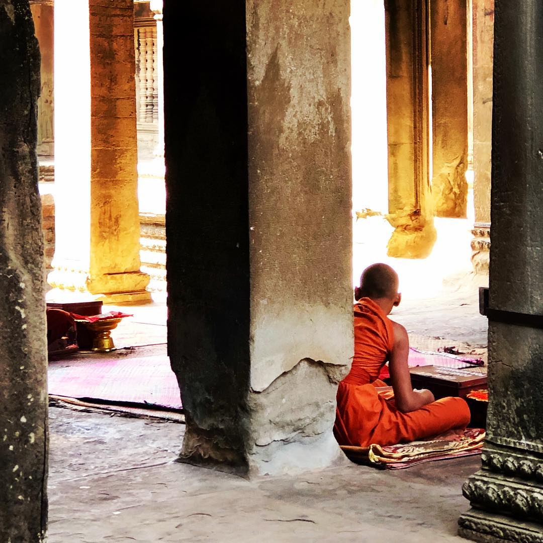 A spherical chicken in a vacuum – Daily Braveries