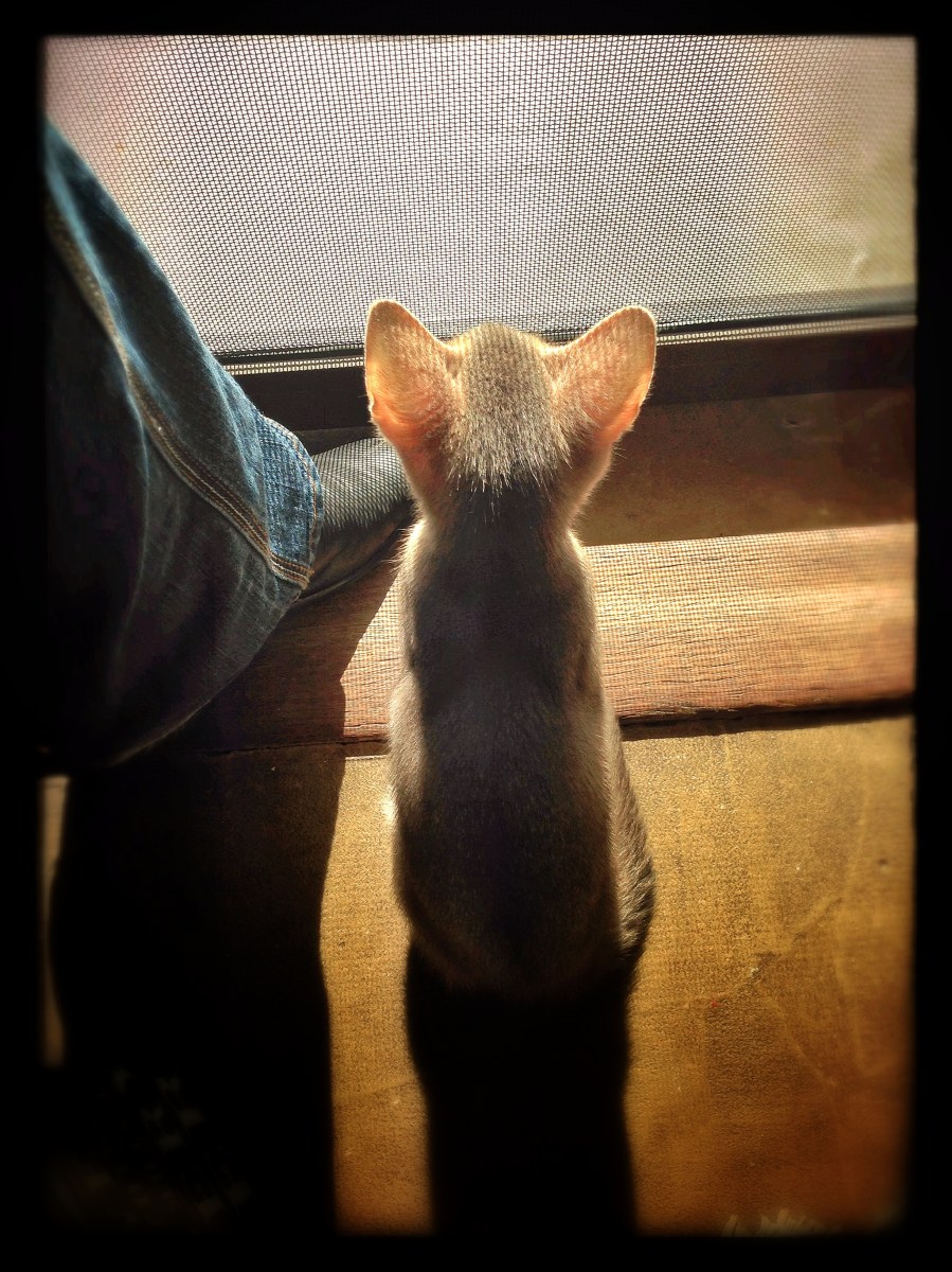 Wabi-sabi – Daily Braveries